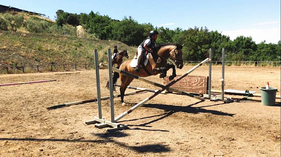 Centro Ippico Bellaria - Visit Murlo