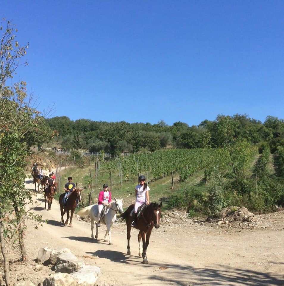 Centro Ippico Bellaria - Visit Murlo