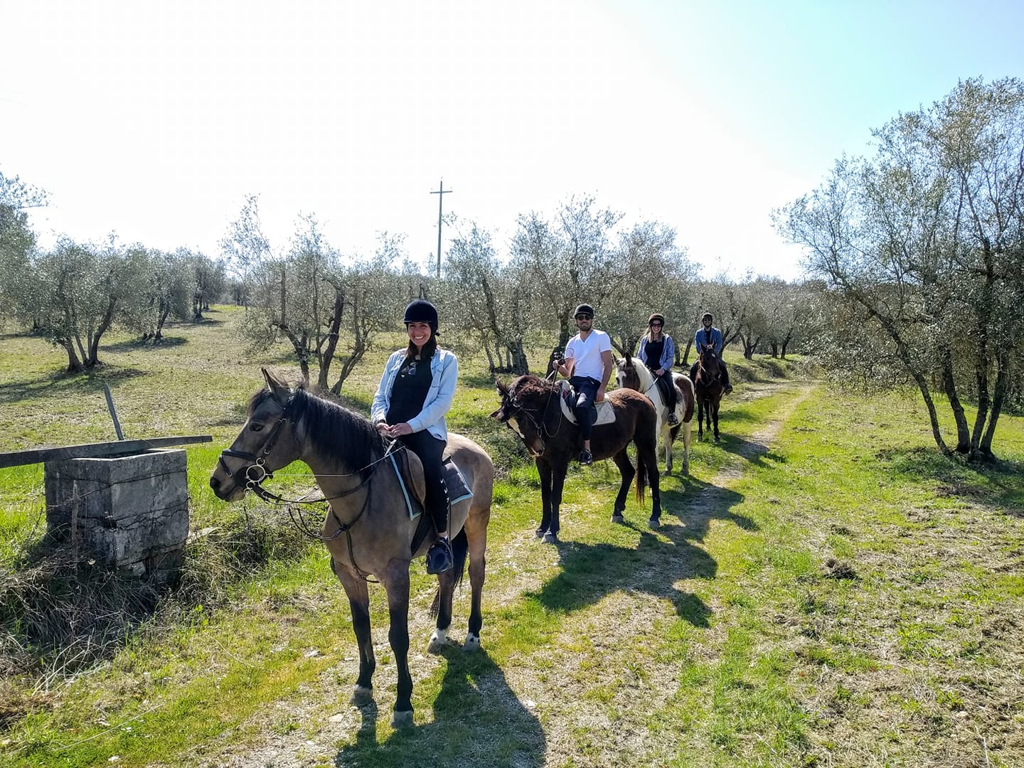 Centro Ippico Bellaria - Visit Murlo