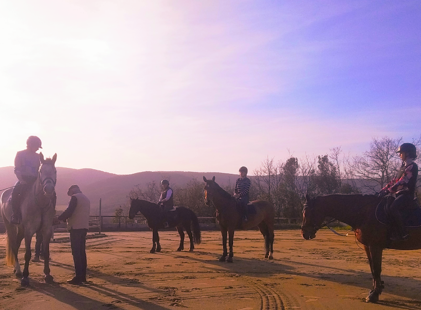 Centro Ippico Bellaria - Visit Murlo