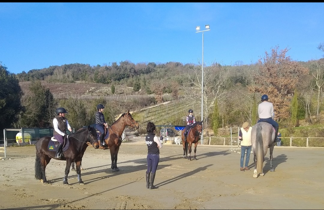Centro Ippico Bellaria - Visit Murlo