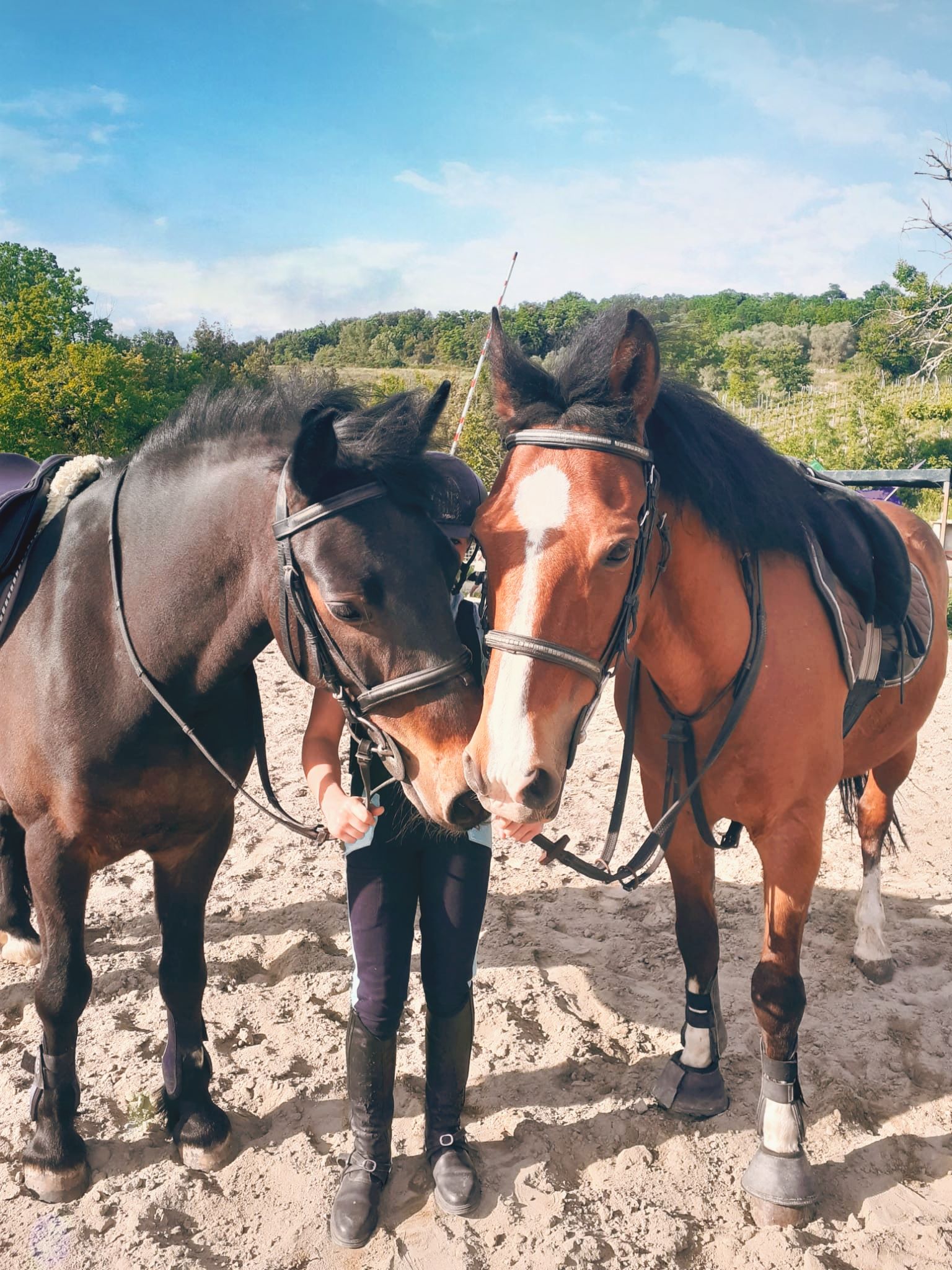 Centro Ippico Bellaria - Visit Murlo