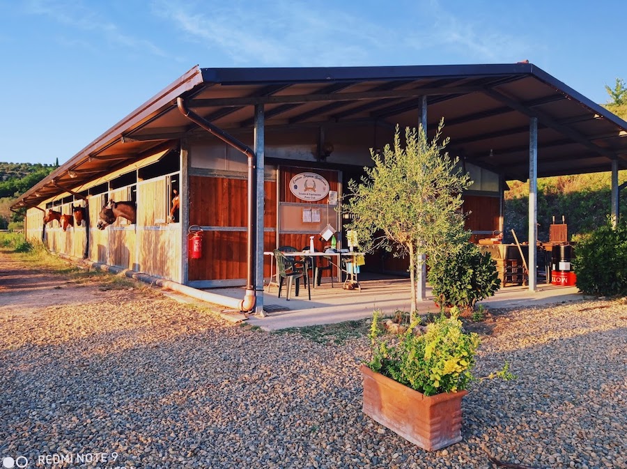 Centro Ippico Bellaria - Visit Murlo