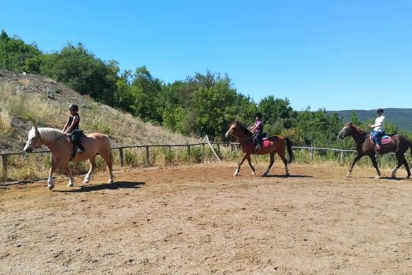 Centro Ippico Bellaria - Visit Murlo